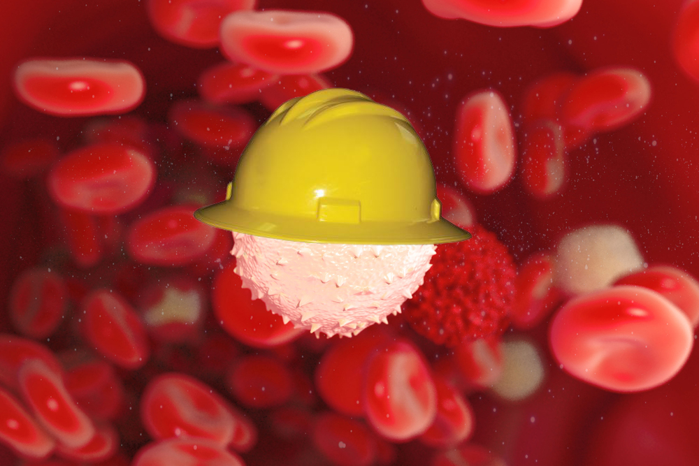 Why have a Travel Health Policy? - Travel Health Policy